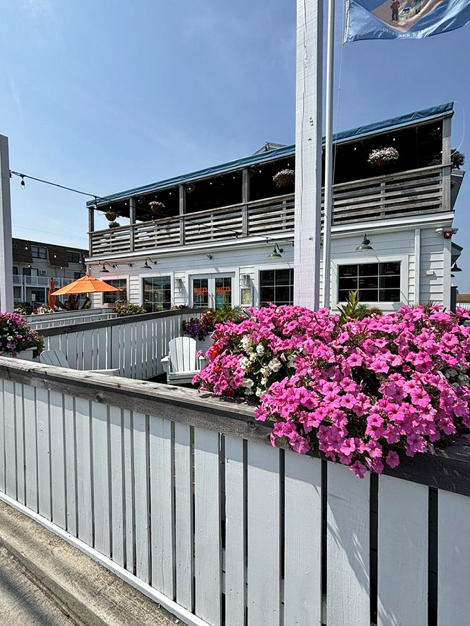 Flowers blooming and seafood booming &ndash; Matt's exterior is as inviting as a siren's call to hungry sailors.