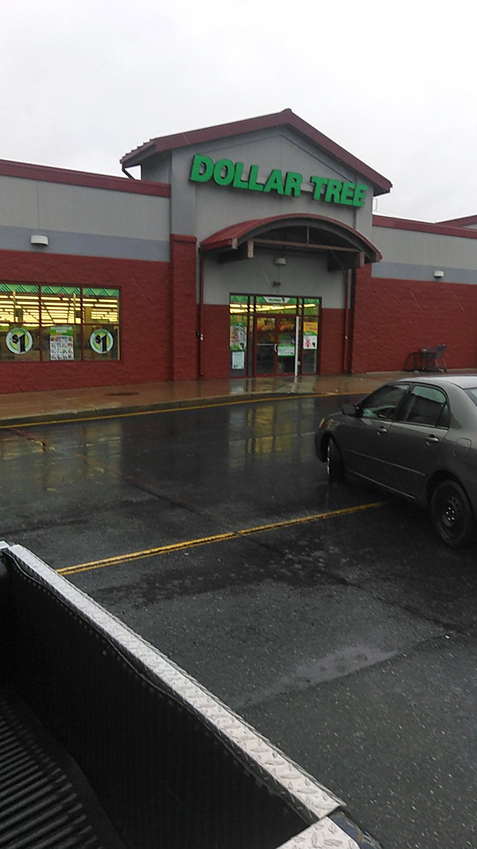 Rain or shine, the deals are fine! Even on a gloomy day, this Dollar Tree beacon promises a downpour of discounts inside.