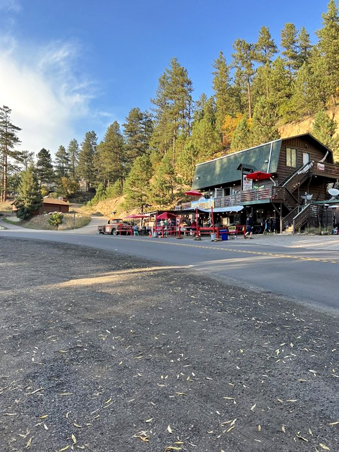 A slice of cheese heaven in the Colorado mountains. This picturesque setting proves that sometimes, the best things come in small, cheesy packages.