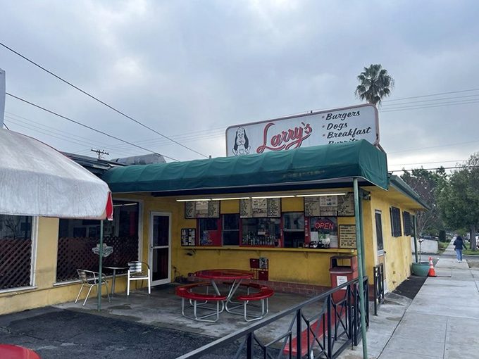 Yellow brick road to flavor town! This exterior view promises a pot of culinary gold at the end of the rainbow.