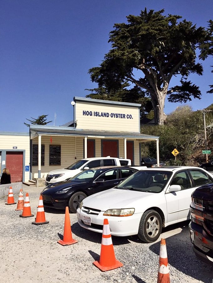 Parking lot or pearl of wisdom? Even the gravel lot at Hog Island hints at the treasures waiting inside. Time to shuck and awe!