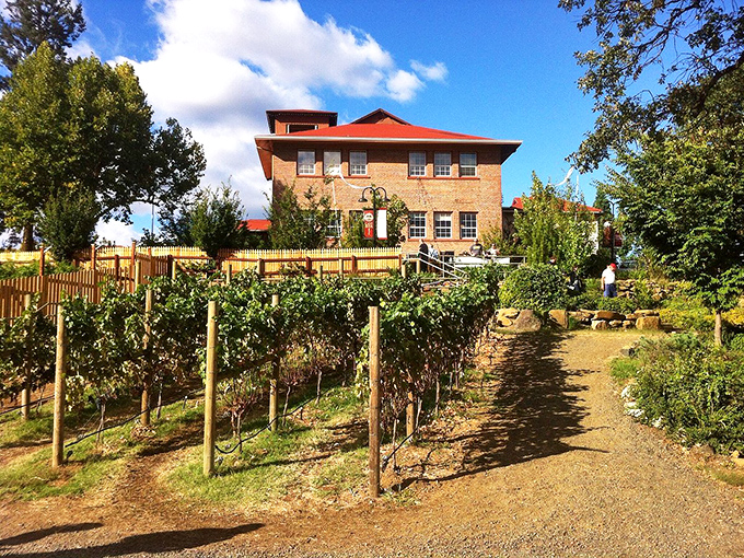 Schoolhaus Brewhaus: Where "I learned it in school" takes on a whole new meaning. History class was never this refreshing!