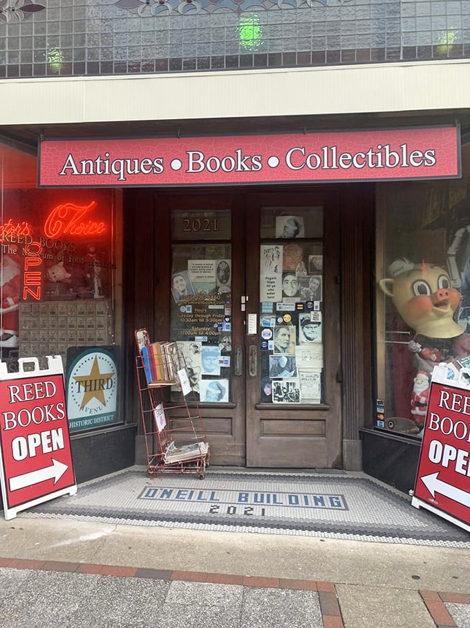 The gateway to Narnia's got nothing on this entrance. Step inside and let the literary adventure begin!