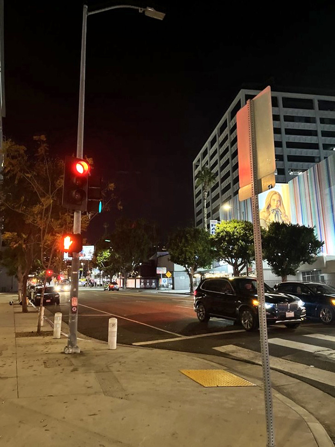 From spooky to starry nights! Step outside Beetle House LA and you're back in the glitz and glamour of Hollywood. Talk about a plot twist!