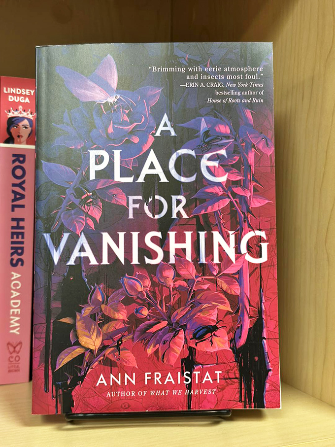 Vanish into a good book! This novel's cover is a work of art that's sure to make your to-read pile mysteriously grow.