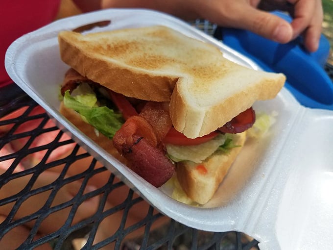 The BLT that answers the eternal question: "How much bacon is enough bacon?" with a definitive "This much, and not a strip less."