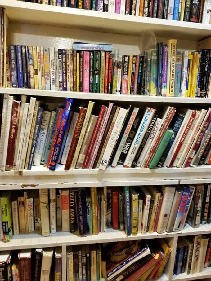 A bibliophile's dream come true! These shelves are stacked with stories waiting to be rediscovered, from classic novels to quirky forgotten gems.