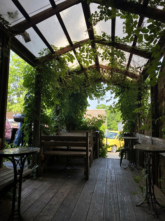A secret garden of delights! This vine-covered patio is the perfect spot to enjoy your baked treasures in a tranquil, green oasis.