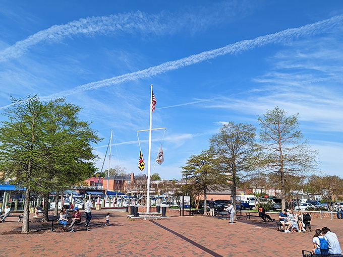 Ego Alley: Where boats strut their stuff like it's a nautical fashion week. It's the catwalk of the Chesapeake!