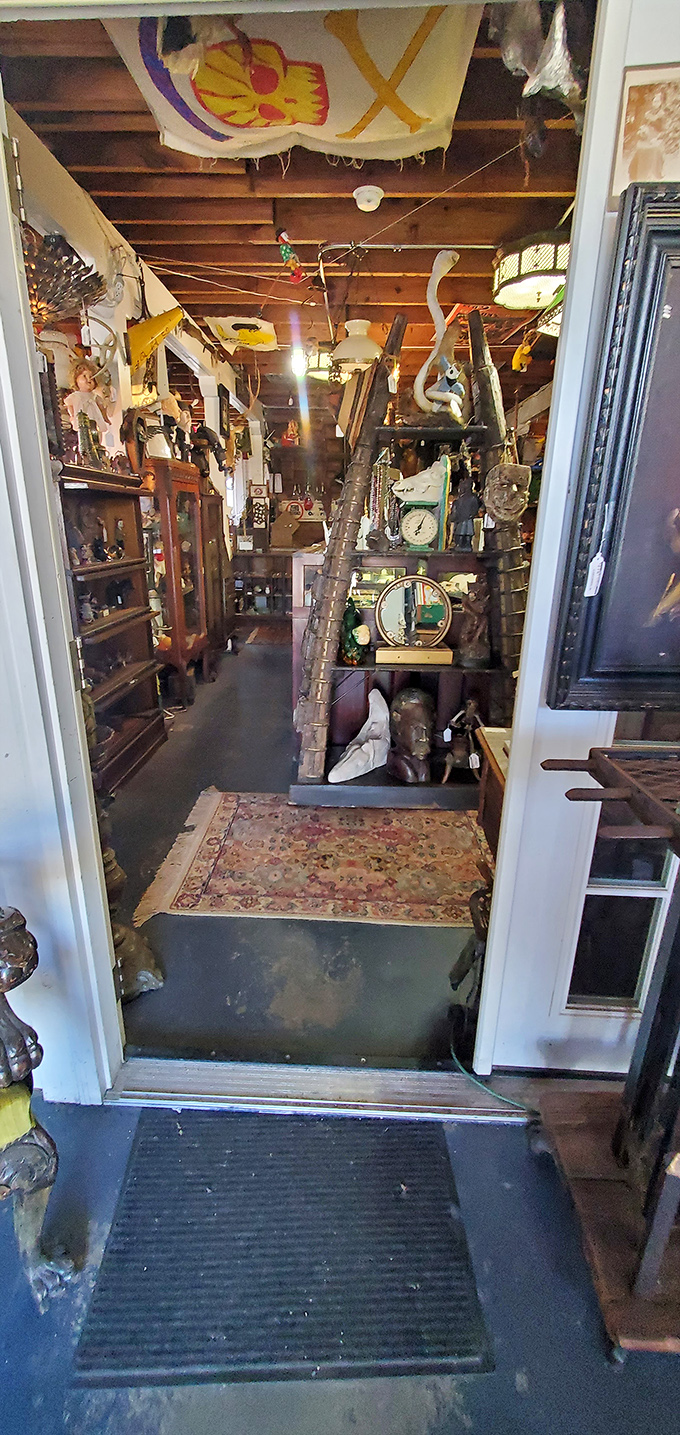 Peek into a world of wonder! This entryway is your first step into a labyrinth of Louisiana's most captivating collectibles.