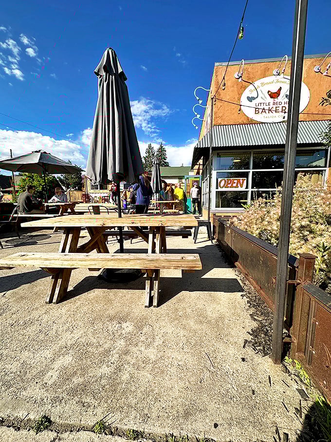 The Little Red Hen Bakery: Where calories don't count and happiness is measured in layers of flaky pastry. Your diet's Kryptonite awaits!