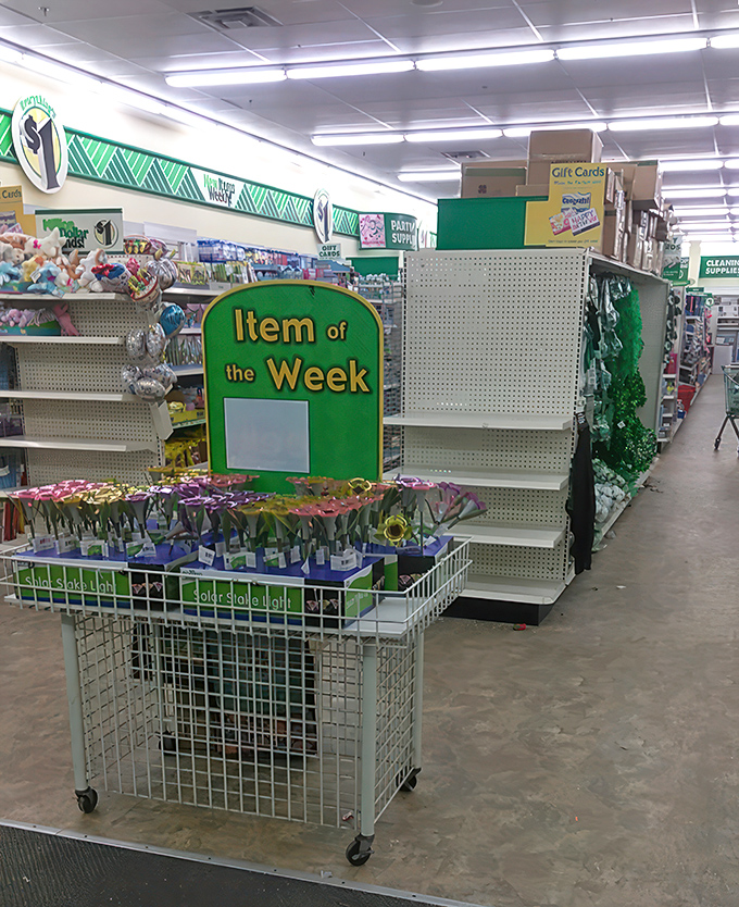 The "Item of the Week" display featuring artificial flowers that will never wilt—much like the appeal of saving money.