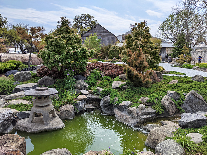 Japanese Garden of Peace: A zen oasis in the heart of Texas. Proof that sometimes, the best cultural fusions happen in the most unexpected places.