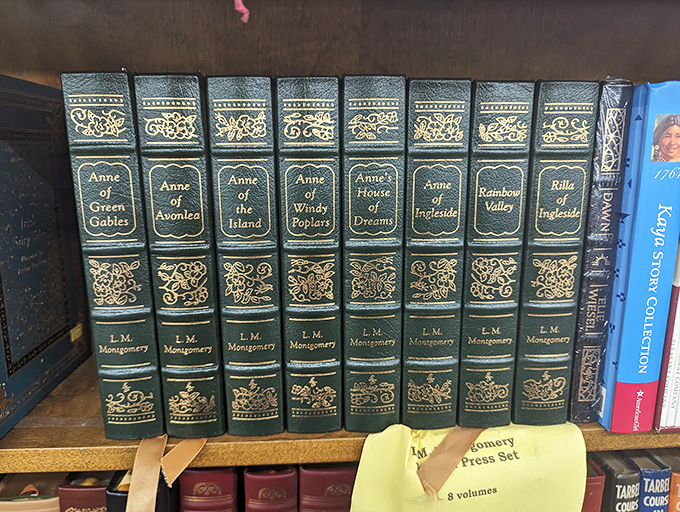Anne with an 'E' and a whole lot of charm! This L.M. Montgomery collection is greener than Avonlea and twice as delightful.