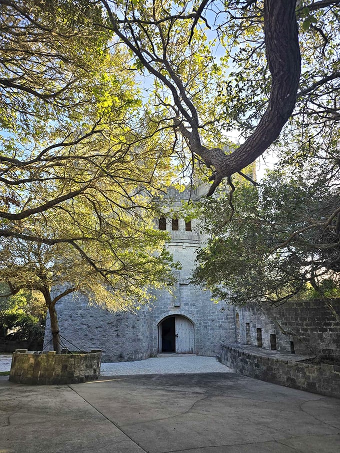 "Fee-fi-fo-fum, I smell the scent of... sunscreen?" Ancient oaks frame this fairy-tale view of Florida's most unexpected castle.