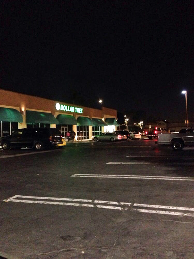 Even after dark, the siren song of savings calls. This Dollar Tree never sleeps, much like a bargain hunter's appetite for deals!