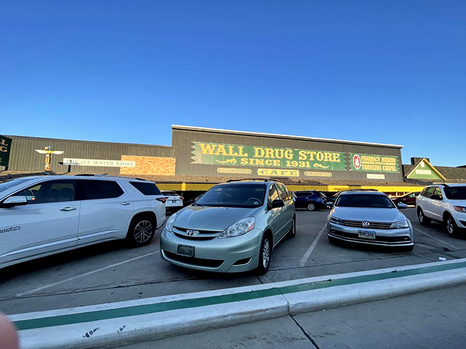The Wall Drug pilgrimage parking lot: where license plates from all 50 states come to mingle. It's like a United Nations summit, but with more bumper stickers and road dust.