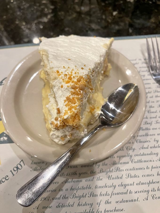 The grand finale of flavor! This slice of heaven proves that sometimes the brightest stars come in the form of perfectly crafted desserts.