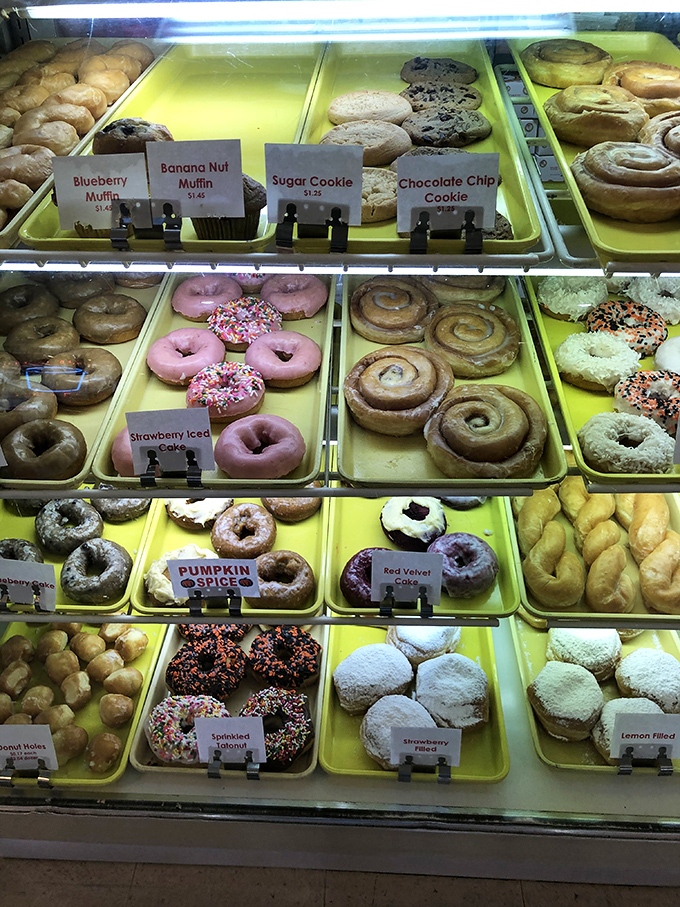 A rainbow of flavors awaits! It's like Willy Wonka opened a donut shop, minus the Oompa Loompas.