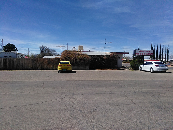 Plenty of parking means plenty of opportunity for donut-fueled adventures. Your diet's loss is your taste buds' gain!