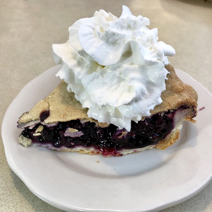 Blueberry pie so good, it'll make you sing the blues... in a good way! This slice is bursting with berries and topped with a cloud of whipped cream. Dessert perfection achieved!