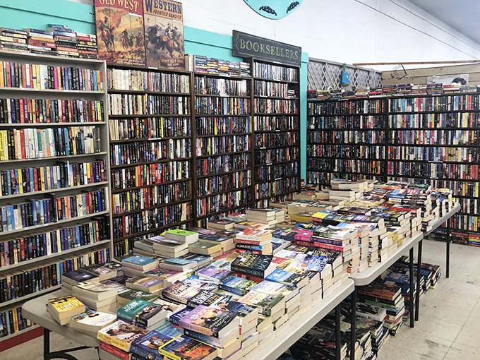 Bookworm's paradise alert! Enough tomes to build a fort and still have plenty left for a lifetime of rainy day reading.