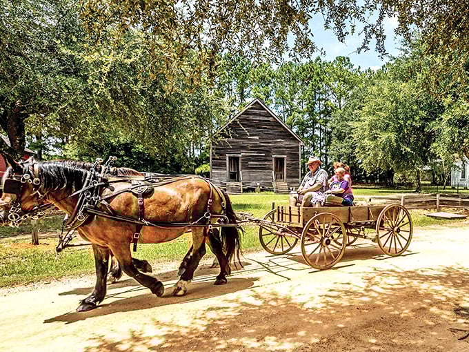 Giddy up and step back in time! This horse-drawn carriage isn't just a ride, it's a ticket to Eufaula's living history book.