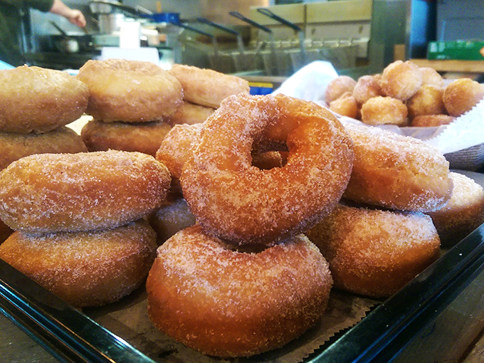 Sweet rings of joy! These donuts aren't just fried dough, they're circular portals to happiness. Homer Simpson would weep with joy.