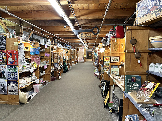 Long aisles of carefully organized collectibles prove that sometimes the best adventures require a full afternoon of exploration.