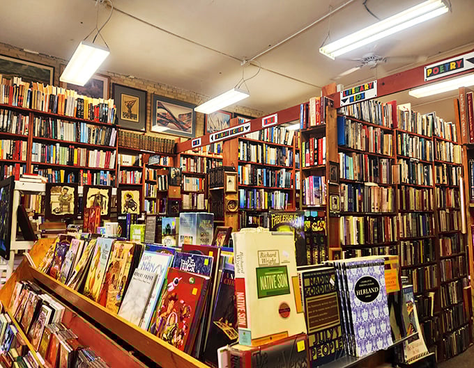 Where genres collide and book lovers unite! From sci-fi to poetry, this cozy corner has something for every reading palate.