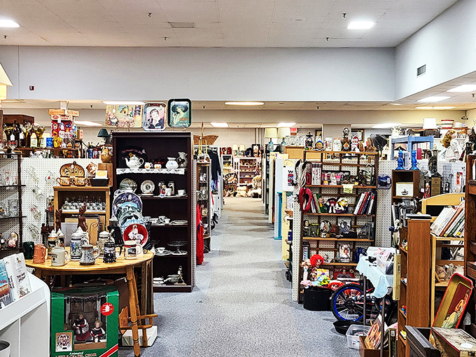 Where every aisle is a trip down memory lane! This sprawling interior proves that one person's clutter is another's treasure trove.