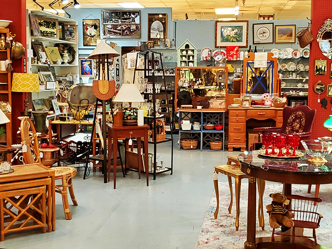 Welcome to the land of "I didn't know I needed that!" Prepare for your wallet to get lighter and your home to get quirkier.