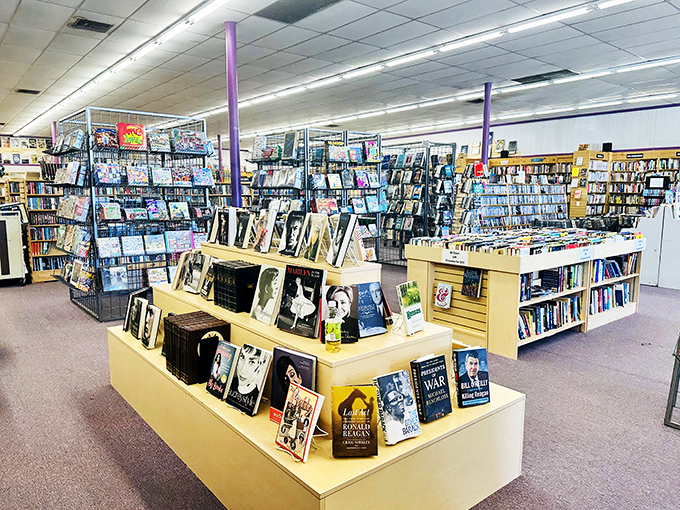 A symphony of spines! This view is enough to make any book lover's heart skip a beat - it's like the Disneyland of literature.