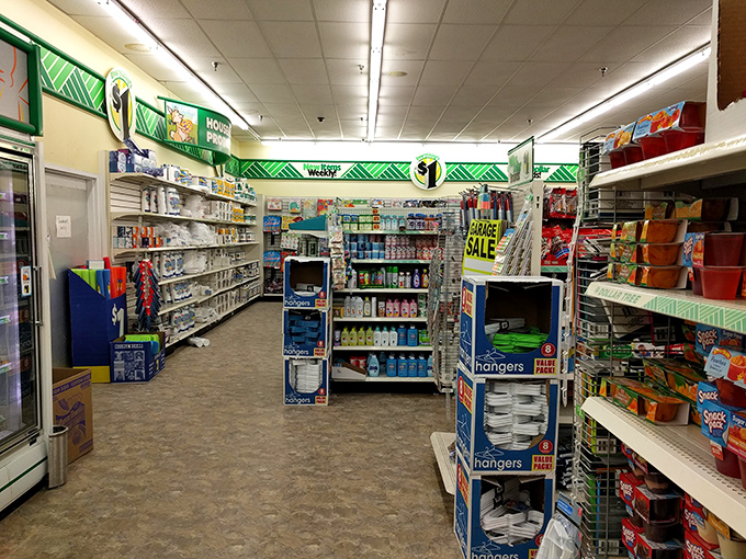Household essentials and seasonal items coexist in a retail democracy where everything, regardless of perceived value, costs exactly the same.