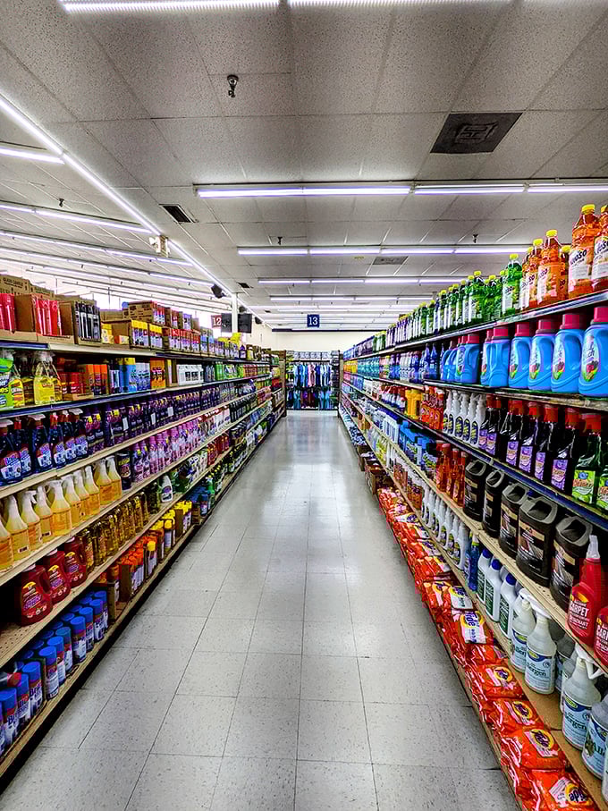 Clean sweep! This aisle is a germaphobe's dream and a testament to humanity's eternal struggle against dust bunnies.