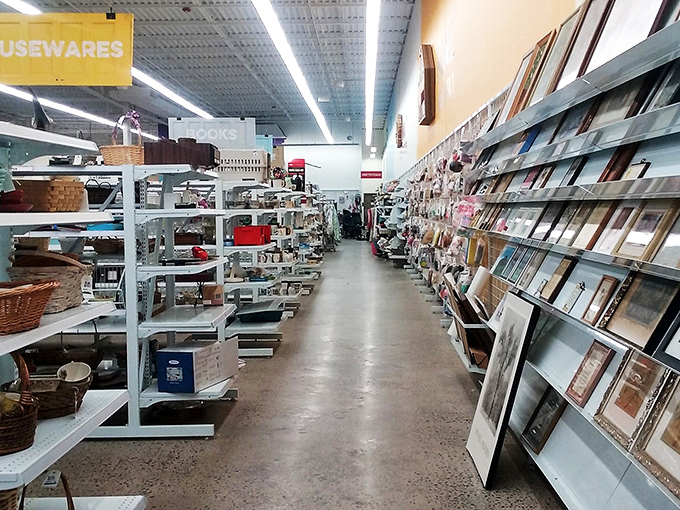 The housewares aisle: where kitchen dreams and picture frames coexist in perfect retail harmony. Martha Stewart would get lost for hours here.