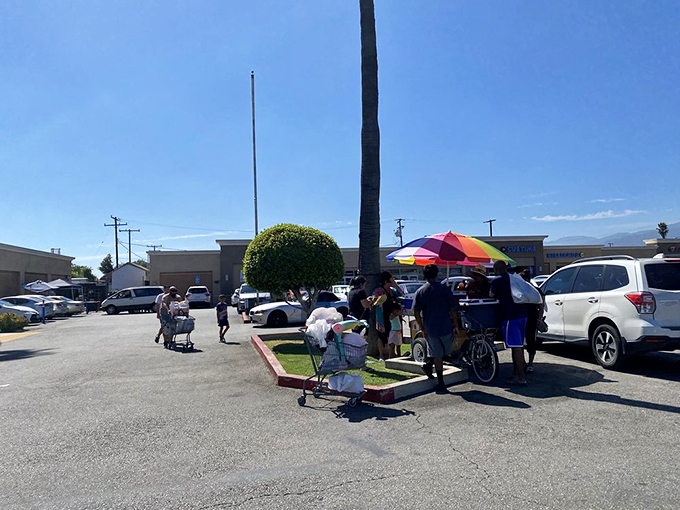 The thrill of the hunt brings shoppers young and old. Under the California sun, bargain-seekers flock like seagulls to a picnic.