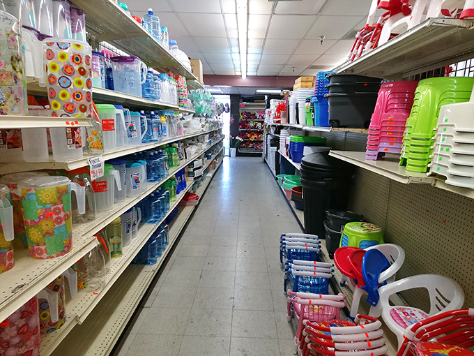Plastic fantastic! This aisle is a rainbow of containers ready to organize your life. Marie Kondo would be proud.