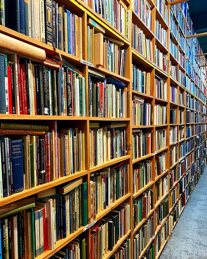 Poetry in motion! From sonnets to free verse, this section proves that good things come in small, rhythmic packages.