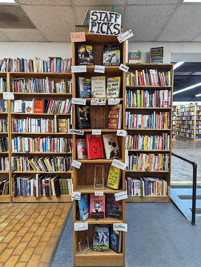 Staff picks: where book nerds become your personal literary matchmakers. Trust them &ndash; they've read more plots than a soap opera writer.