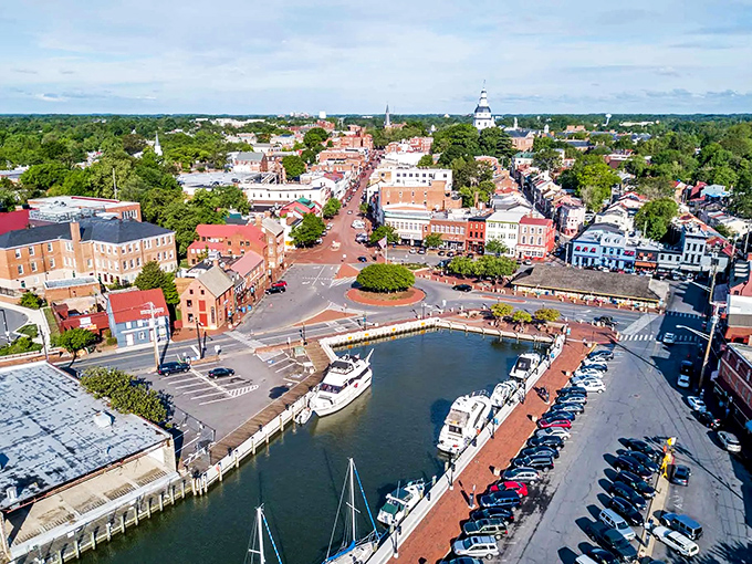 Bird's eye bliss: Annapolis unfurls like a map of dreams. From up here, you can almost smell the salt air and hear the whisper of sails.