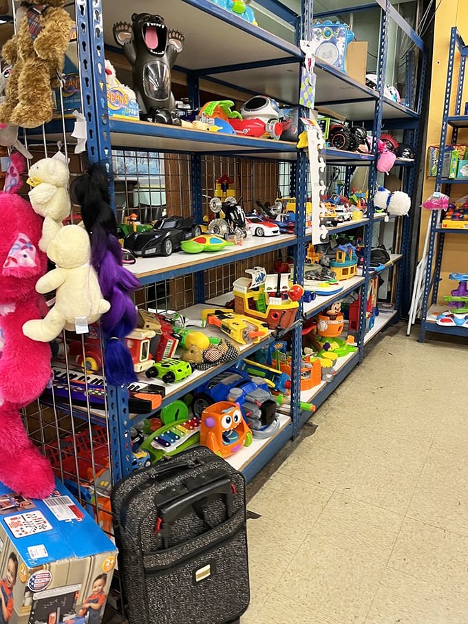 Toy shelves bursting with plastic potential. One child's forgotten plaything becomes another's treasure in this colorful second-chance playground.