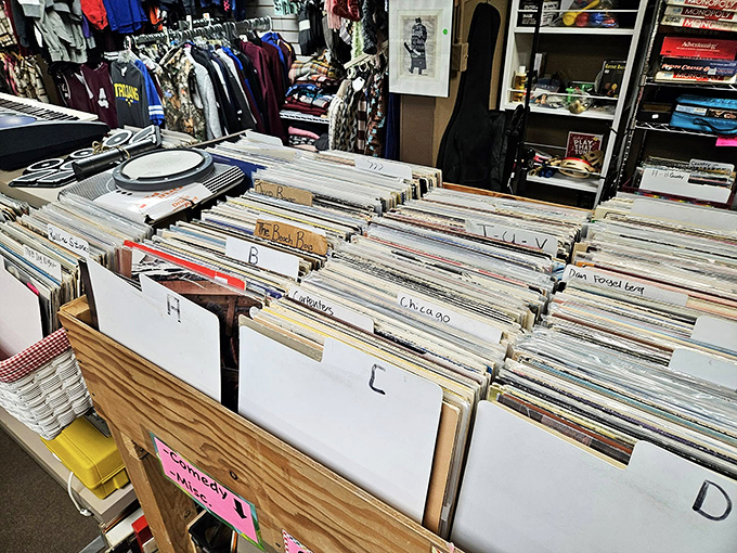 Vinyl revival central! Dust off your turntable and prepare for a sonic journey through time with these groove-tastic treasures.