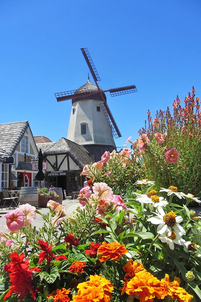 Windmills and wildflowers &ndash; a match made in Solvang heaven. This picturesque scene is pure California gold... with a Danish twist!