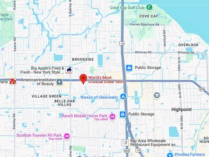 16. world's most unusual dollar store map