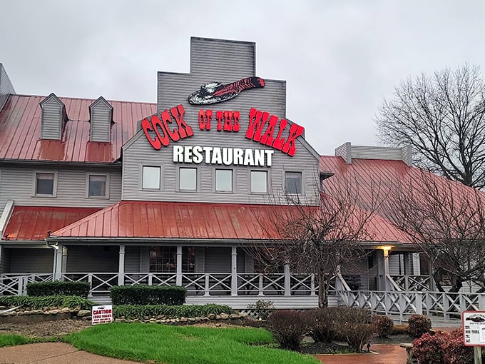 Cock of the Walk: A slice of Mark Twain's Mississippi, served with a side of Nashville twang. That rooster means business!