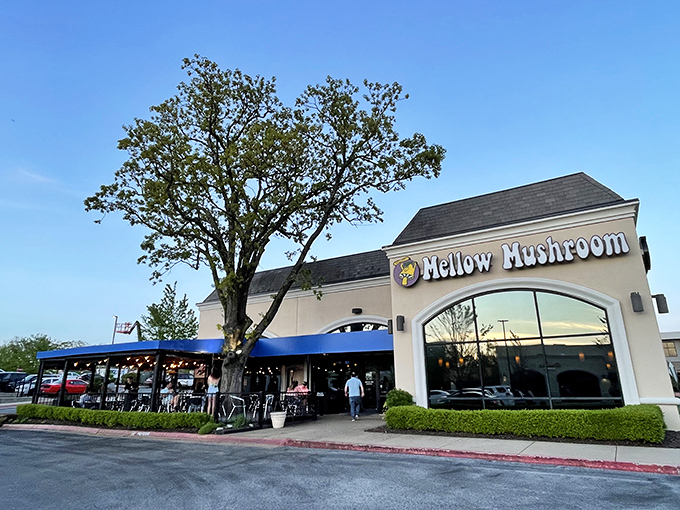 Mellow Mushroom: Where pizza meets tie-dye! This groovy joint looks like it's ready to serve up slices with a side of flower power.