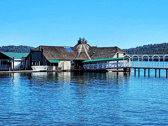 The Cedars: Where dining meets diving! This floating restaurant serves up seafood with a side of stunning lake views.
