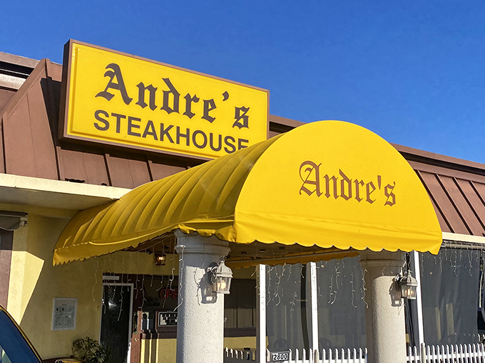 Retro vibes meet mouthwatering meats. Andre's is the steakhouse time forgot, but your taste buds will always remember.
