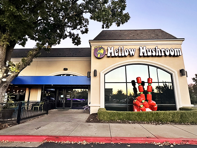 Is that a giant red mushroom? Nope, just Mellow Mushroom's quirky decor making you wonder if you've stumbled into a psychedelic pizza wonderland.